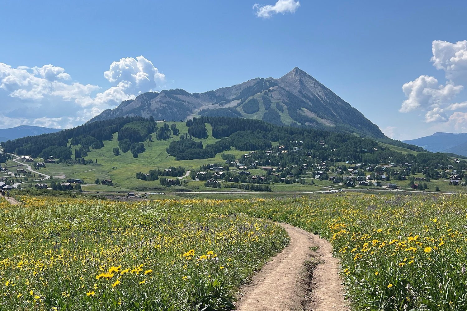 Explore The Crested Butte Collection