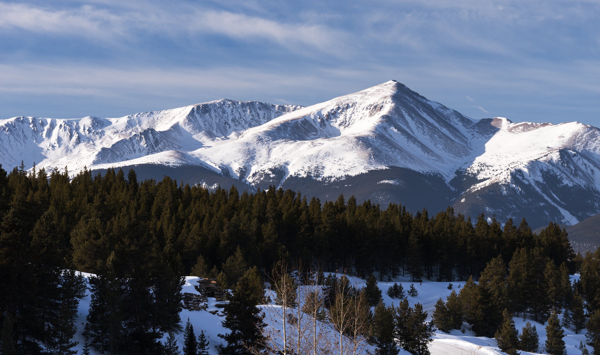 Explore The Mt. Elbert Collection