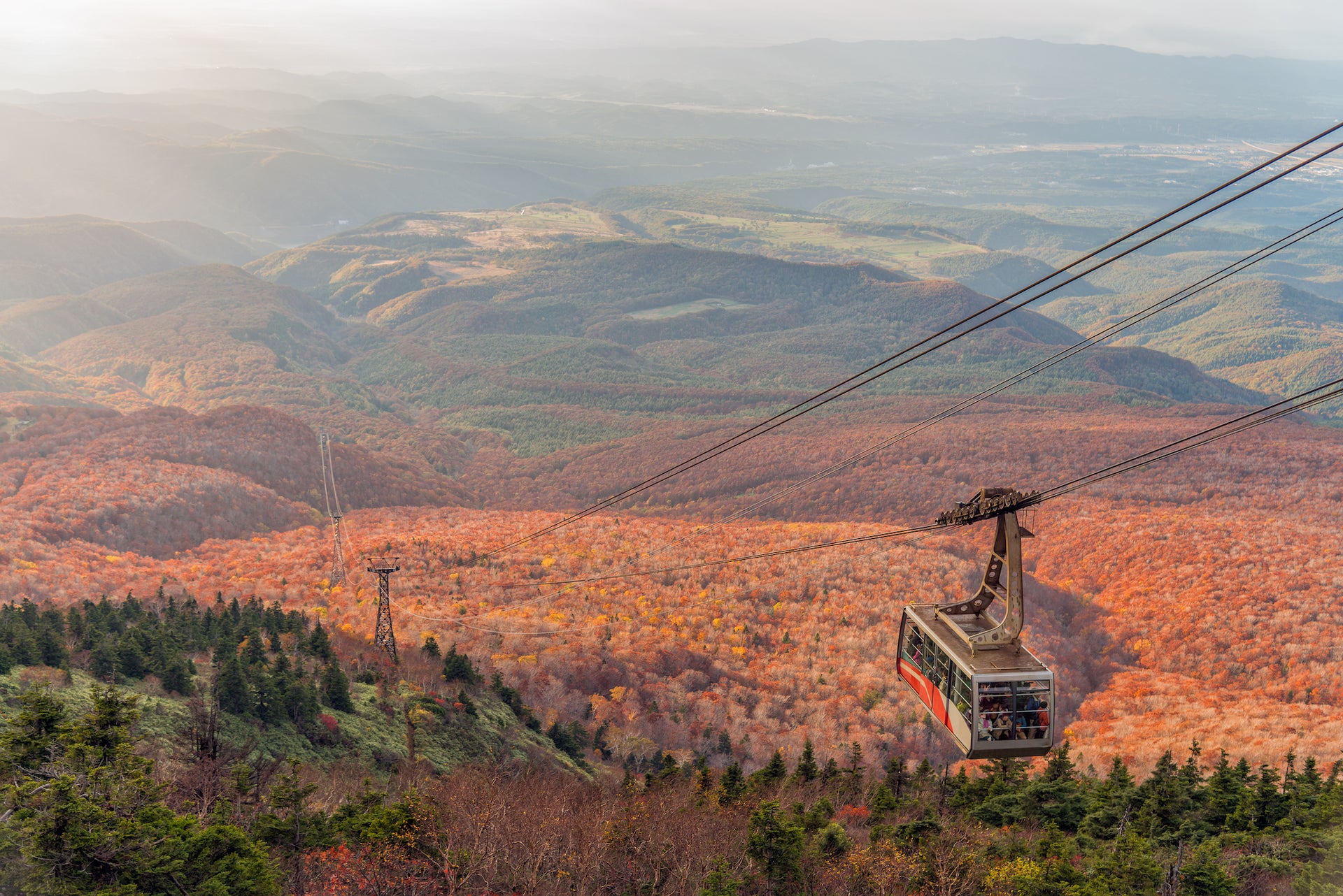 The Hakkoda Mountains Collection - Japan